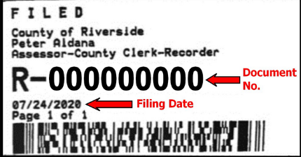 New FBN - Your Trusted Partner for Fictitious Business Name Publicatio